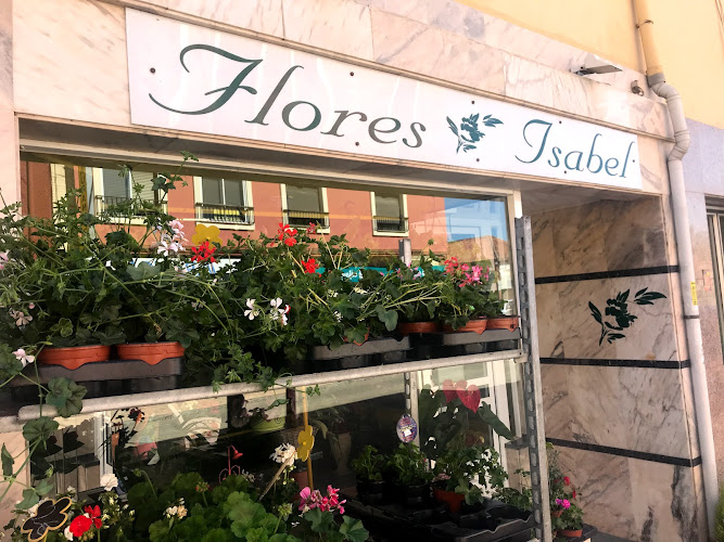 Flores Isabel Campos Robles - Floristería en Mansilla de las Mulas, León